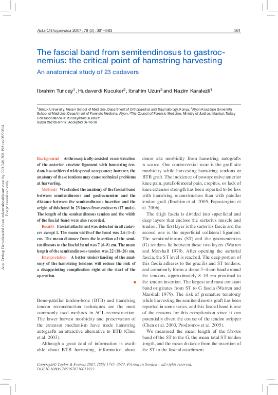 (PDF) The fascial band from semitendinosus to gastrocnemius: the ...