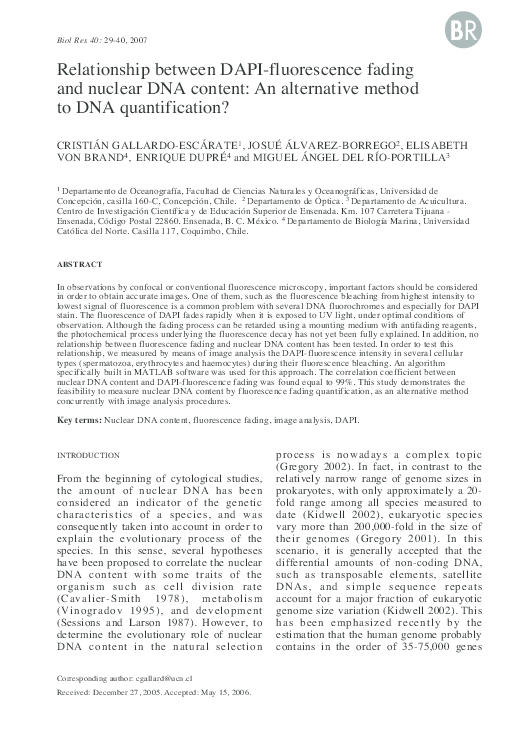 (PDF) Relationship between DAPI-fluorescence fading and nuclear DNA ...