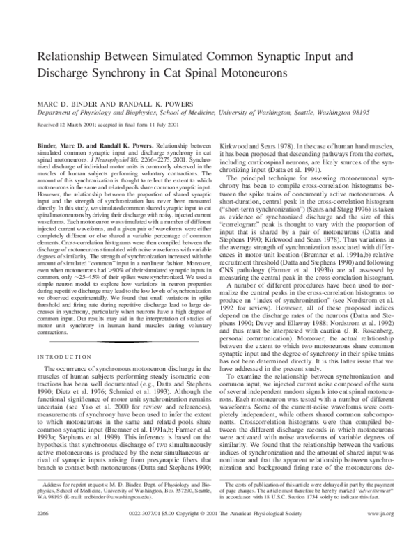 Pdf Relationship Between Simulated Common Synaptic Input And Discharge Synchrony In Cat Spinal