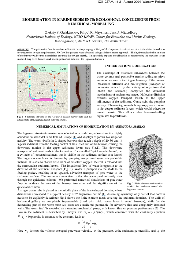 (PDF) Bioirrigation in Marine Sediments: Ecological Conclusions from ...