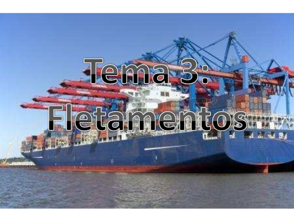 (PDF) Tema3. fletamentos