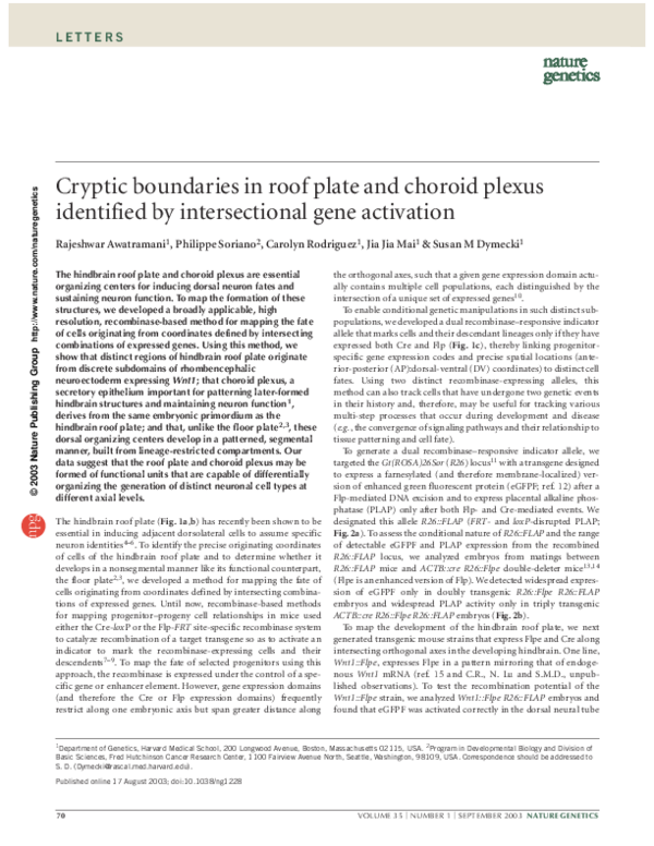 (PDF) Cryptic boundaries in roof plate and choroid plexus identified by ...