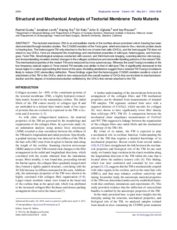 (PDF) Structural and Mechanical Analysis of Tectorial Membrane Tecta ...