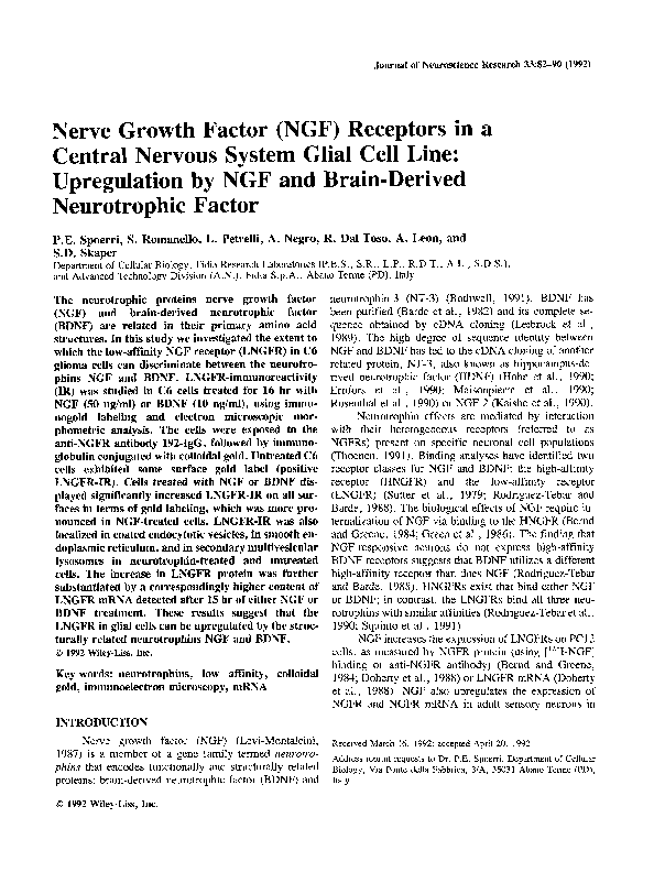 (PDF) Nerve growth factor (NGF) receptors in a central nervous system ...