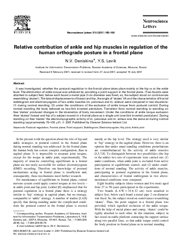(PDF) Relative contribution of ankle and hip muscles in regulation of ...