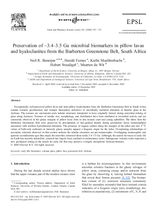 (PDF) Direct dating of Archean microfossils preserved in pillow basalts ...