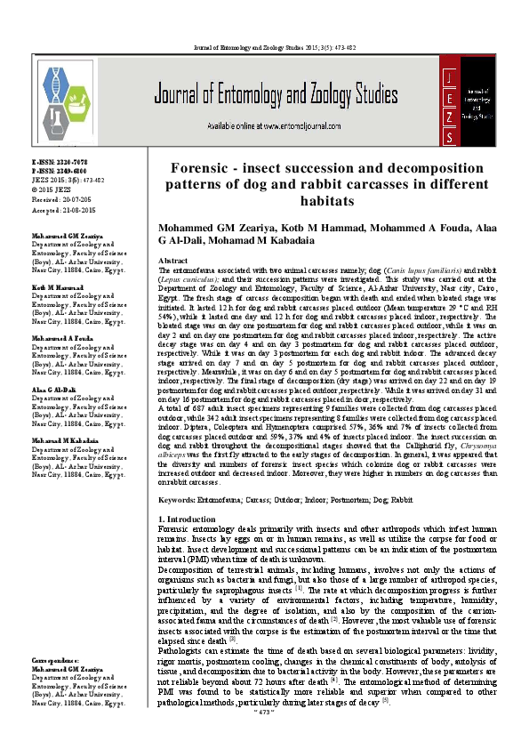 (PDF) Forensic -insect succession and decomposition patterns of dog and ...