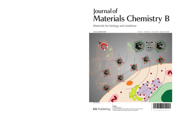 (PDF) Synthesis, stability, cellular uptake, and blood circulation time ...