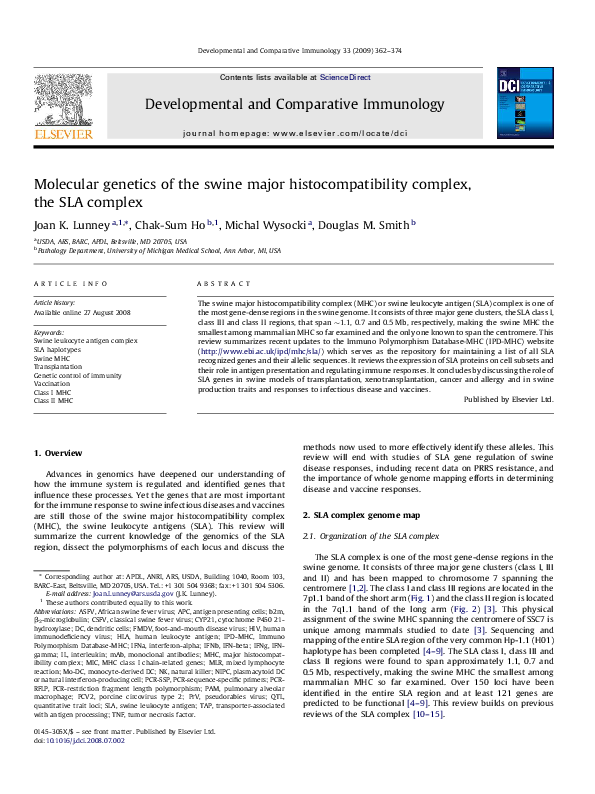 (PDF) Molecular genetics of the swine major histocompatibility complex ...
