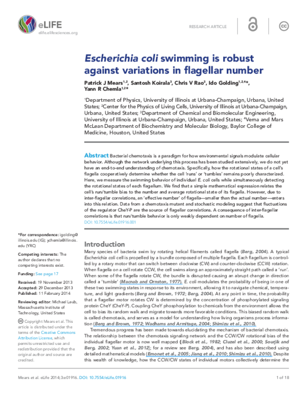 (PDF) Escherichia coli swimming is robust against variations in ...