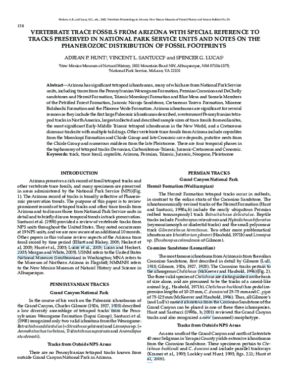 (PDF) Vertebrate Trace Fossils from Arizona with Special Reference to ...