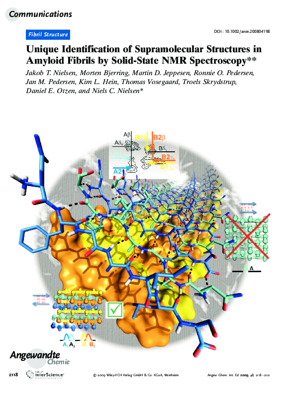 (PDF) Unique Identification of Supramolecular Structures in Amyloid Fibrils by Solid-State NMR ...