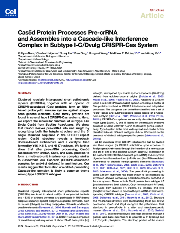 (PDF) Cas5d Protein Processes Pre-crRNA and Assembles into a Cascade ...