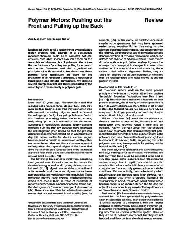 (PDF) Polymer Motors: Pushing out the Front and Pulling up the Back