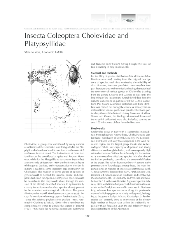 (PDF) Insecta Coleoptera Cholevidae and Platypsyllidae