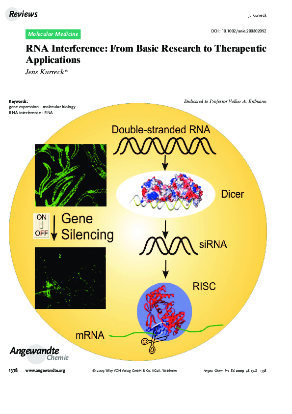 (PDF) RNA Interference: From Basic Research to Therapeutic Applications
