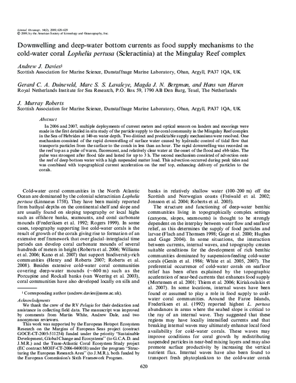 (PDF) Downwelling and deep-water bottom currents as food supply ...