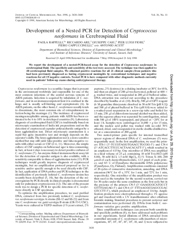 Pdf Development Of A Nested Pcr For Detection Of Cryptococcus Neoformans In Cerebrospinal