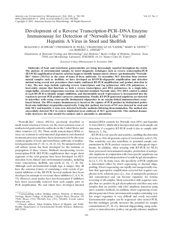 (PDF) Development of a Reverse Transcription-PCR-DNA Enzyme Immunoassay for Detection of ...