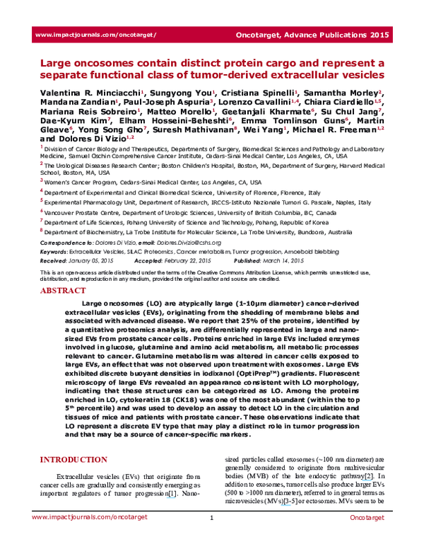 Pdf Large Oncosomes Contain Distinct Protein Cargo And Represent A