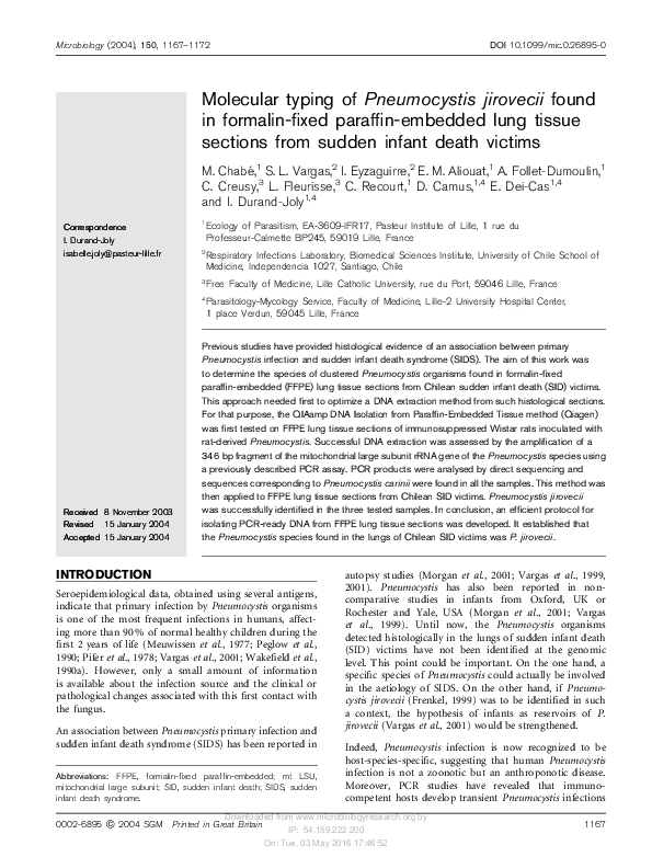 (PDF) Molecular typing of Pneumocystis jirovecii found in formalin-fixed paraffin-embedded lung ...