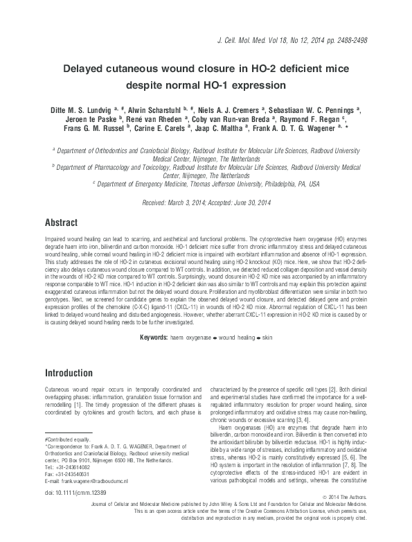 (PDF) Delayed cutaneous wound closure in HO-2 deficient mice despite ...