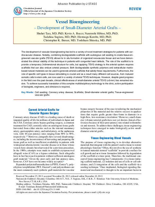 (PDF) Vessel Bioengineering