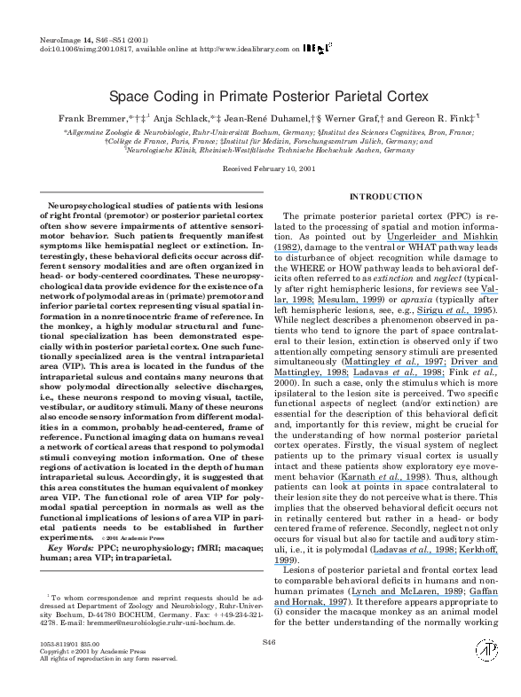Pdf Space Coding In Primate Posterior Parietal Cortex