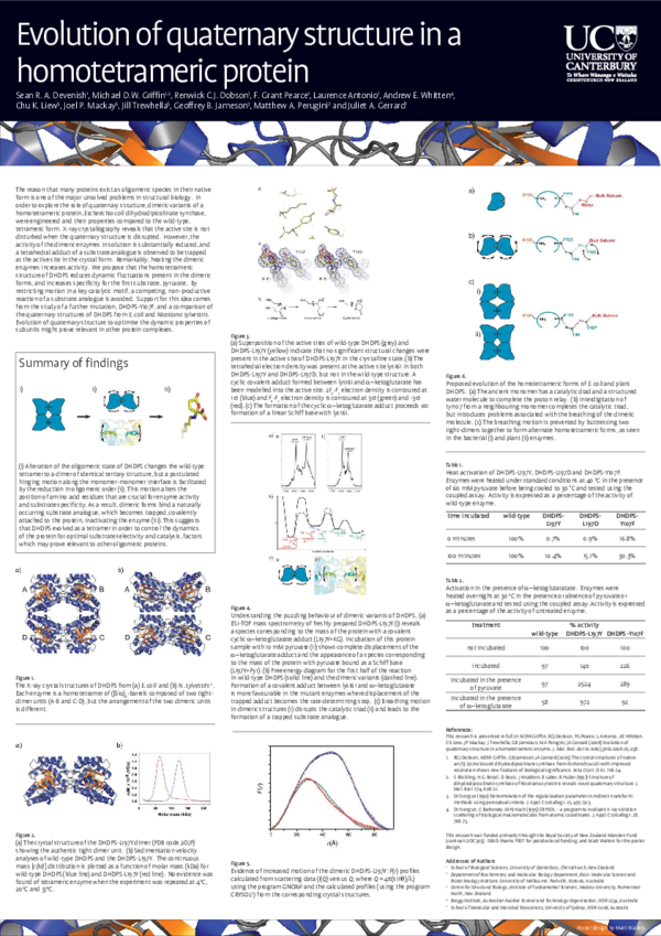 (PDF) Evolution of Quaternary Structure in a Homotetrameric Enzyme