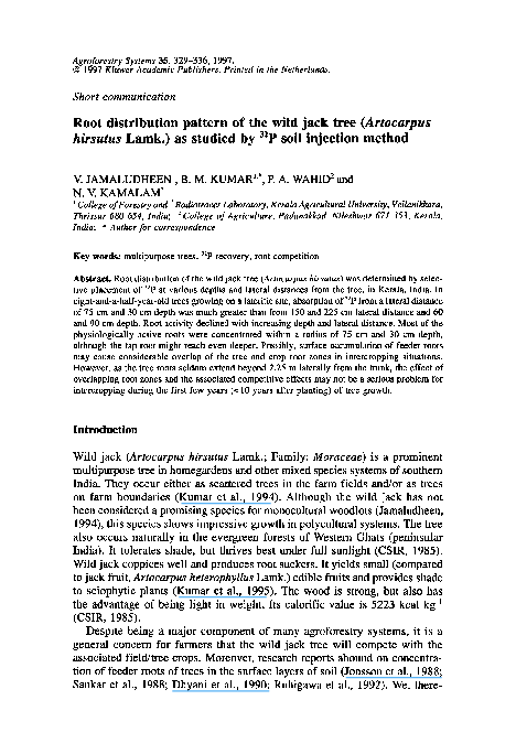 (PDF) Root distribution pattern of the wild jack tree (Artocarpus ...
