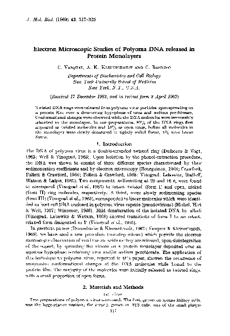 (PDF) Electron microscopic studies of polyoma DNA released in protein monolayers