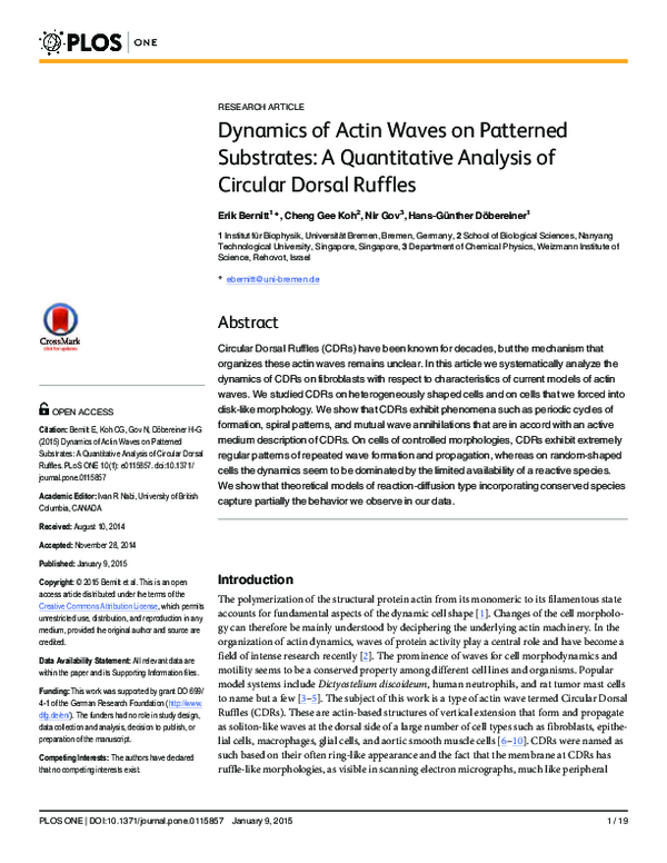 (PDF) Dynamics of Actin Waves on Patterned Substrates: A Quantitative ...