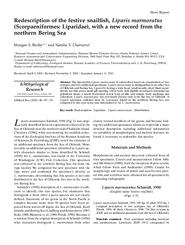 (PDF) Redescription of the festive snailfish, Liparis marmoratus ...