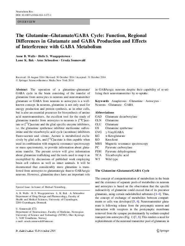 (PDF) The Glutamine–Glutamate/GABA Cycle: Function, Regional ...