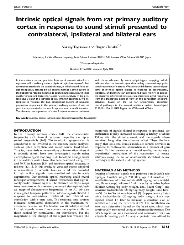 (PDF) Intrinsic optical signals from rat primary auditory cortex in ...