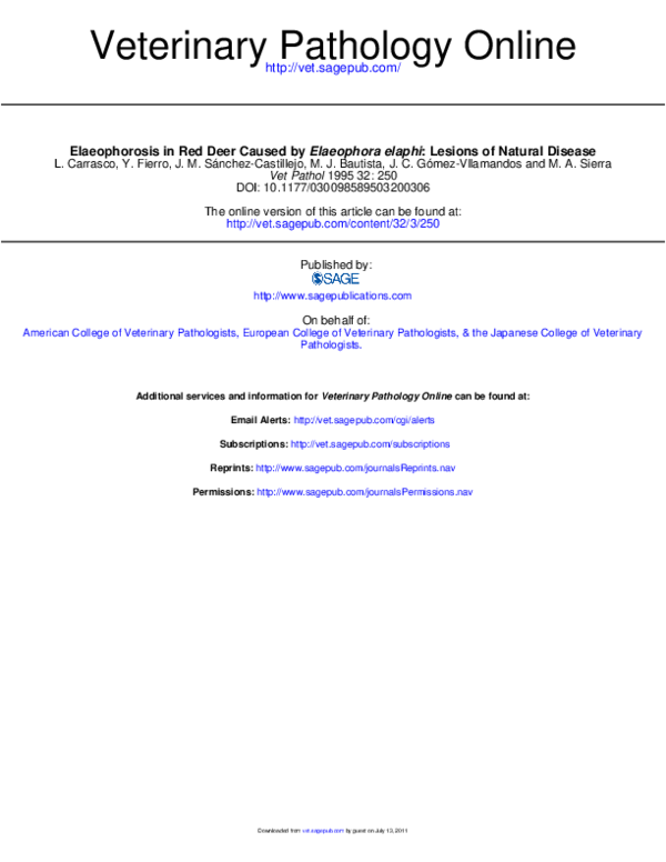 (PDF) Elaeophorosis in Red Deer Caused by Elaeophora elaphi: Lesions of ...