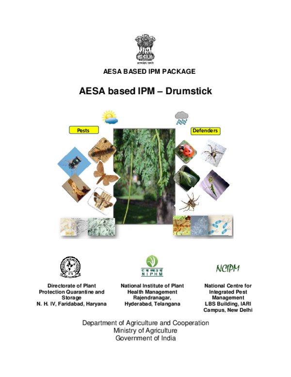 (PDF) AESA based IPM – Drumstick AESA BASED IPM PACKAGE | Miguel Lopez ...