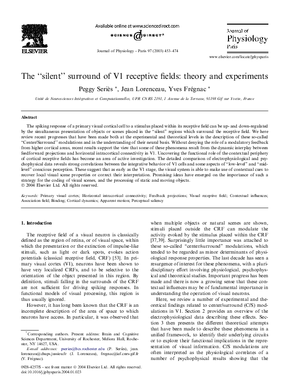 (PDF) The “silent” surround of V1 receptive fields: theory and experiments