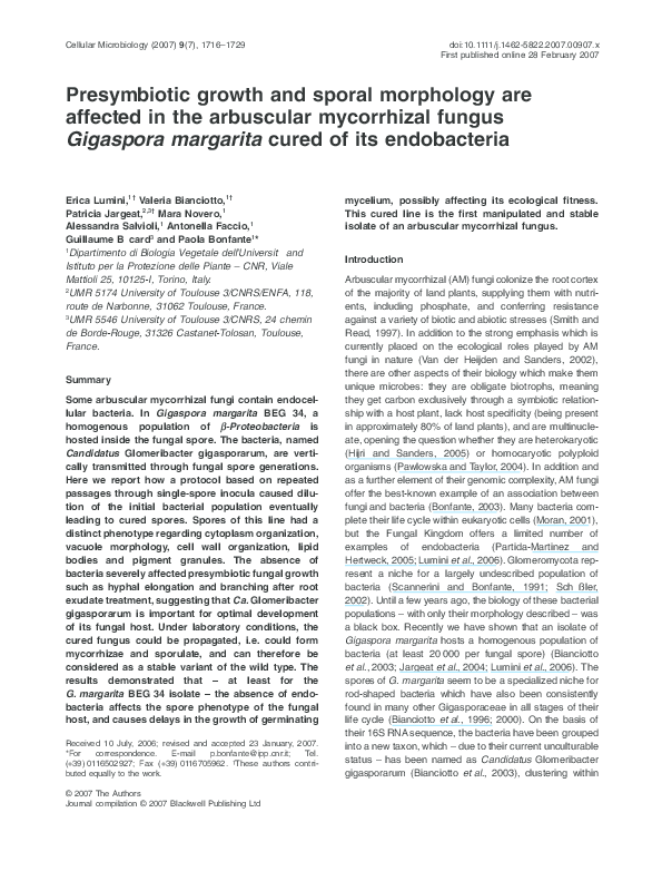 (PDF) Presymbiotic growth and sporal morphology are affected in the ...
