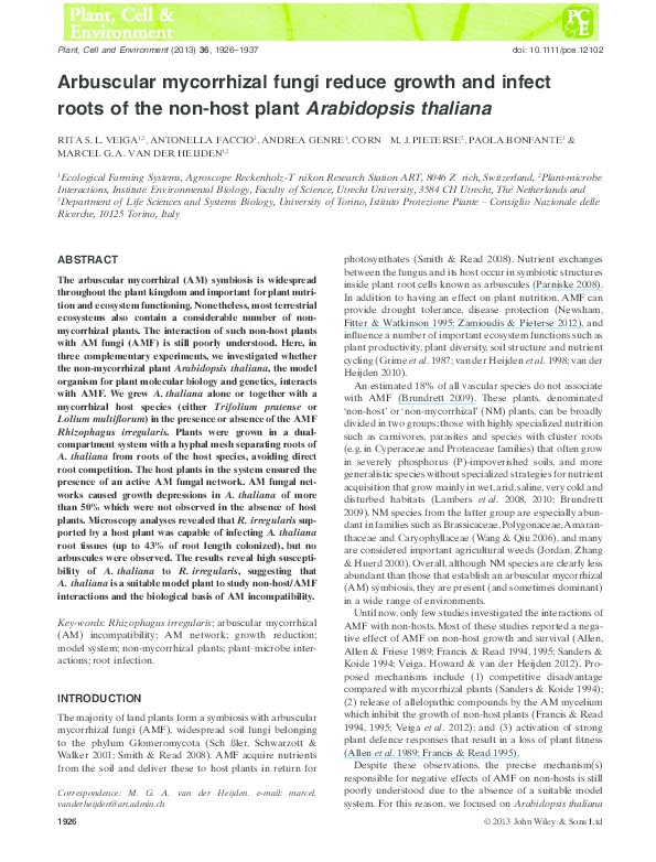 (PDF) Arbuscular mycorrhizal fungi reduce growth and infect roots of the non-host plant ...