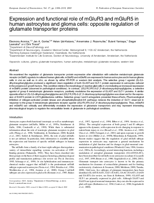 (PDF) Expression and functional role of mGluR3 and mGluR5 in human ...
