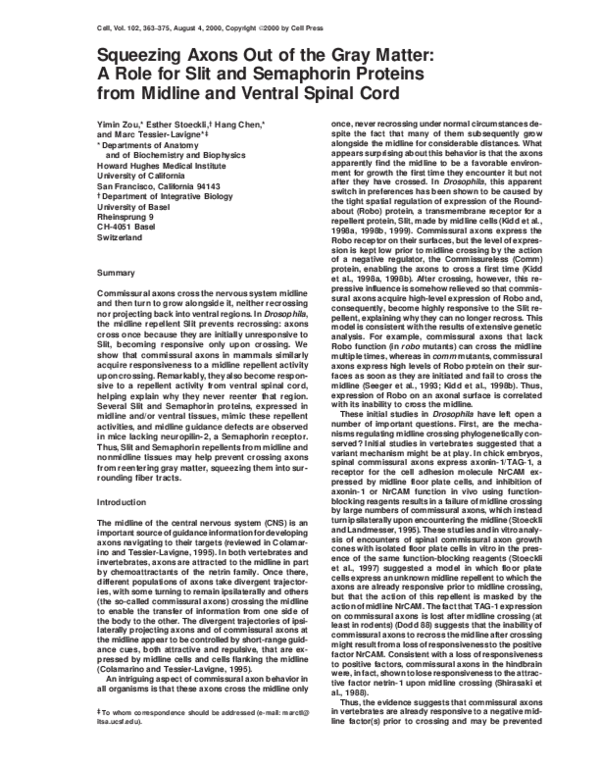 (PDF) Squeezing Axons Out of the Gray Matter