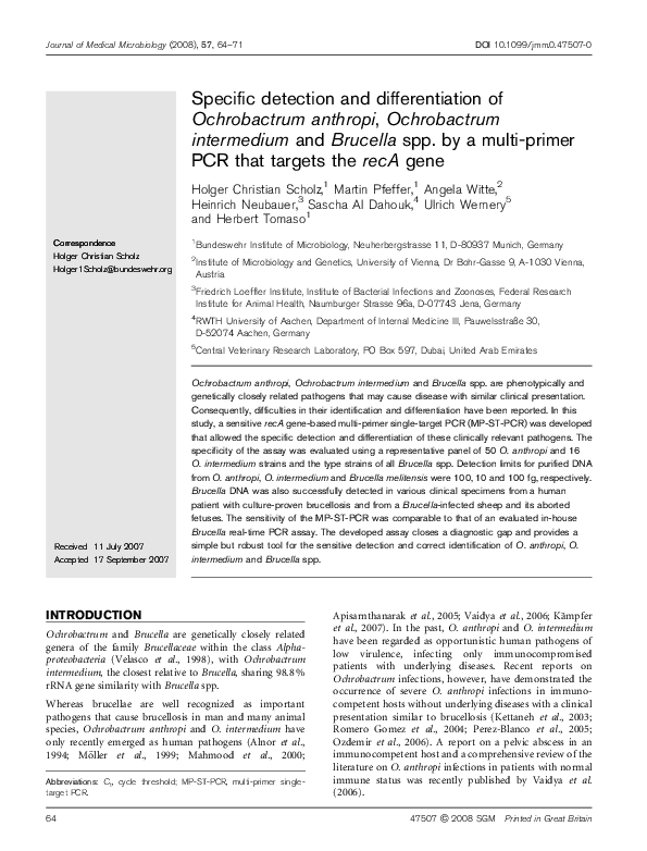 Pdf Specific Detection And Differentiation Of Ochrobactrum Anthropi Ochrobactrum Intermedium