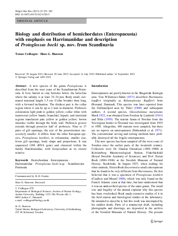 (PDF) Biology and distribution of hemichordates (Enteropneusta) with ...