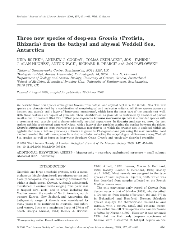 (PDF) Three new species of deep-sea Gromia (Protista, Rhizaria) from ...