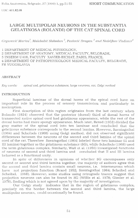 (PDF) Large multipolar neurons in the substantia gelatinosa (Rolandi ...