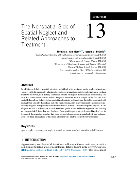 (PDF) The Nonspatial Side of Spatial Neglect and Related Approaches to ...