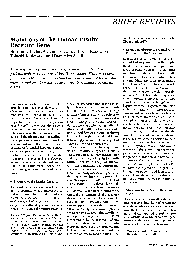 (PDF) Mutations of the human insulin receptor gene