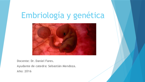 (PPT) Embriologia