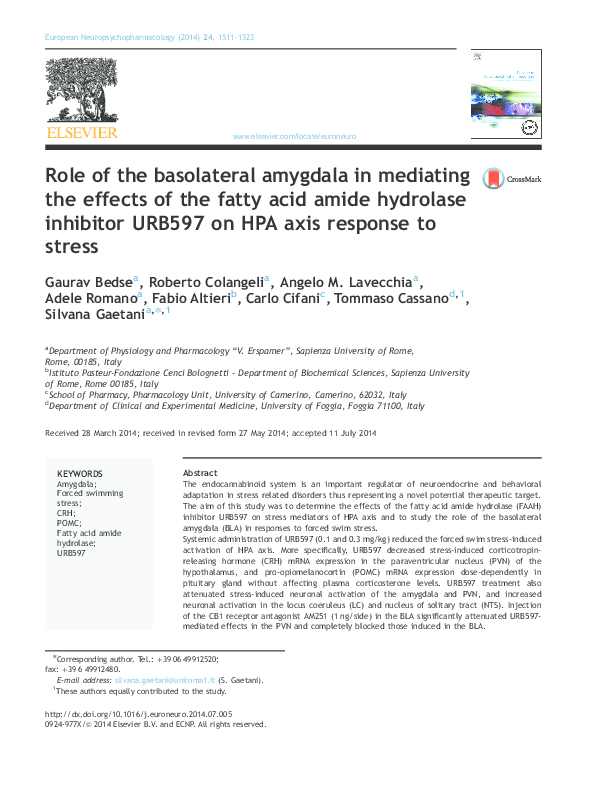 (PDF) Role of the basolateral amygdala in mediating the effects of the ...